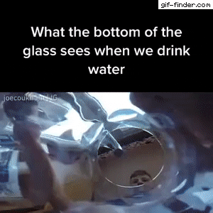Drinking water GIF - Funny GIF | GifVif