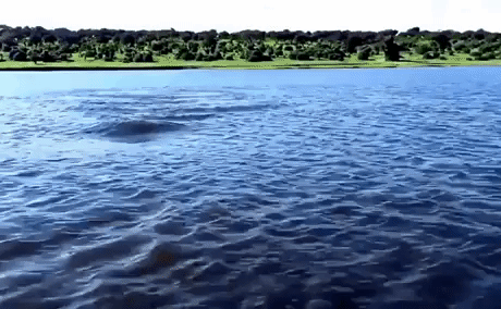 Hello there GIF – Trending GIF on GifVif