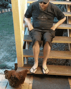 Its hug time GIF – Trending GIF on GifVif