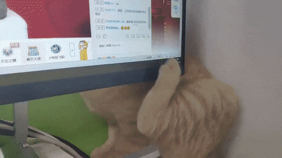 Problem occured in scratching GIF - Cat GIF | GifVif