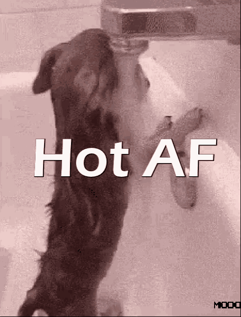 hot af gif – Trending GIF on GifVif