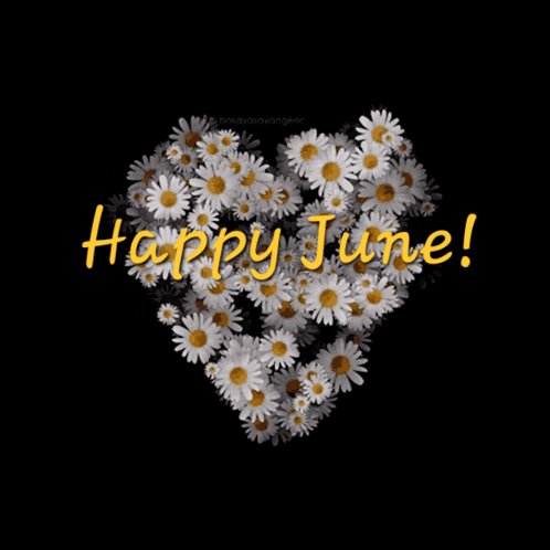 Trending Hello june GIFs Right Now 🔥
